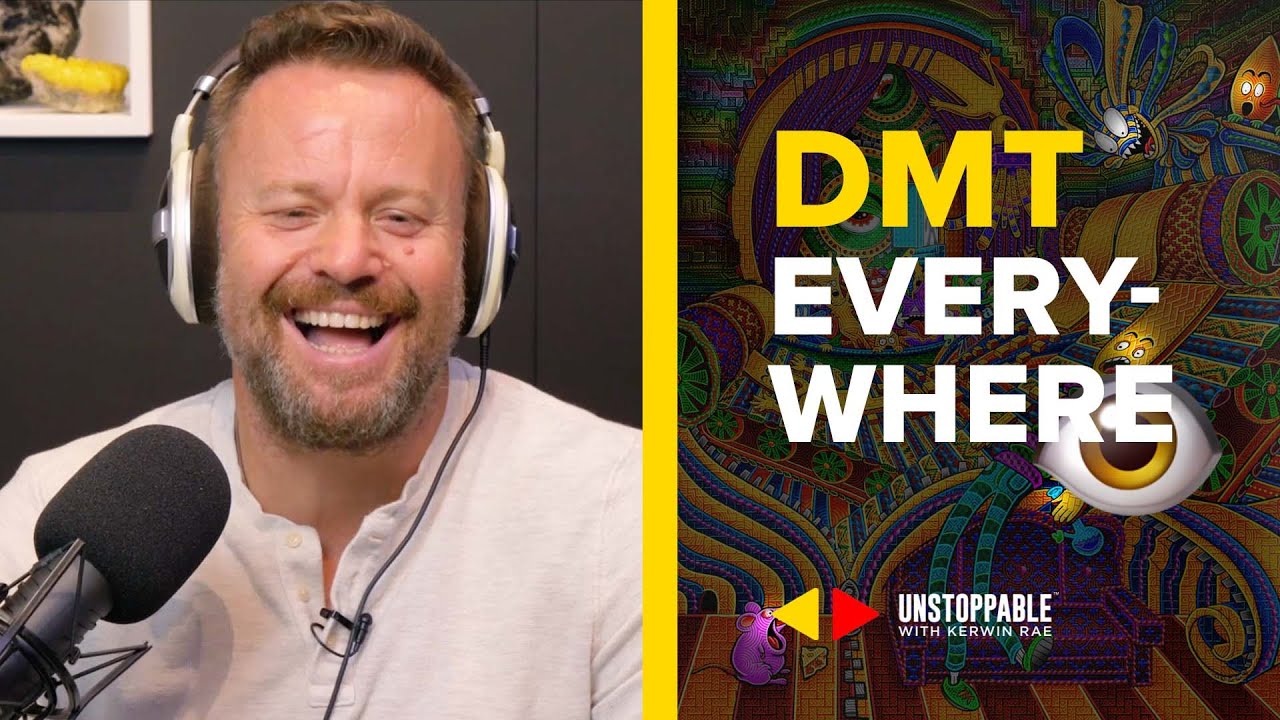 DMT is everywhere, even in your lungs | Dr. Andrew Gallimore - YouTube