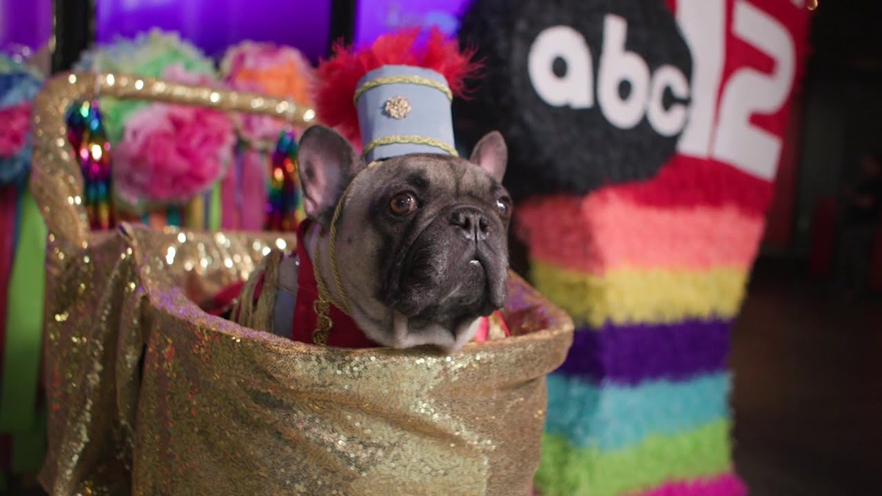 Faces of Fiesta: King Anbarkio - YouTube