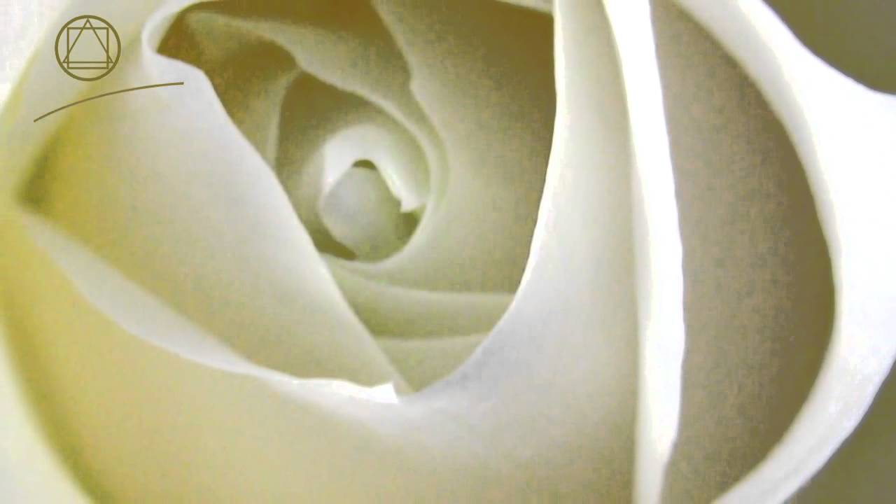 Transfiguration Lectorium Rosicrucianum - YouTube