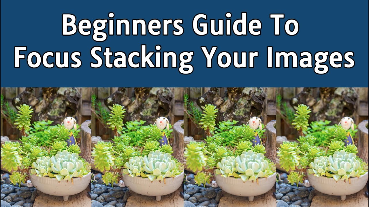 Beginners Guide to Focus Stacking Your Images - YouTube