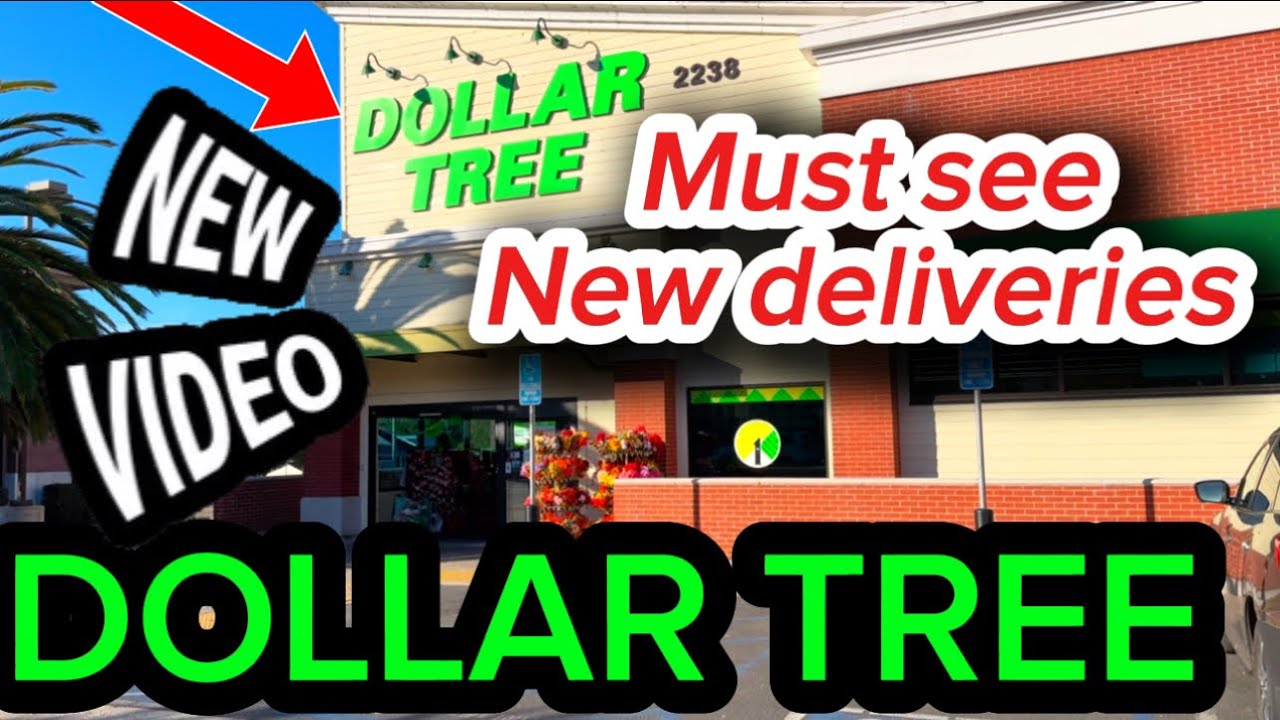 NEW ITEMS DELIVERED 🚛 DOLLAR TREE SPRING 2025 - YouTube