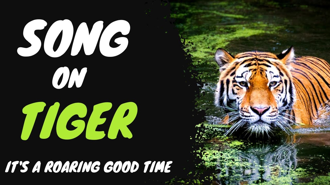 Tiger Song, #tiger , #animals ,#songs, #dream - YouTube