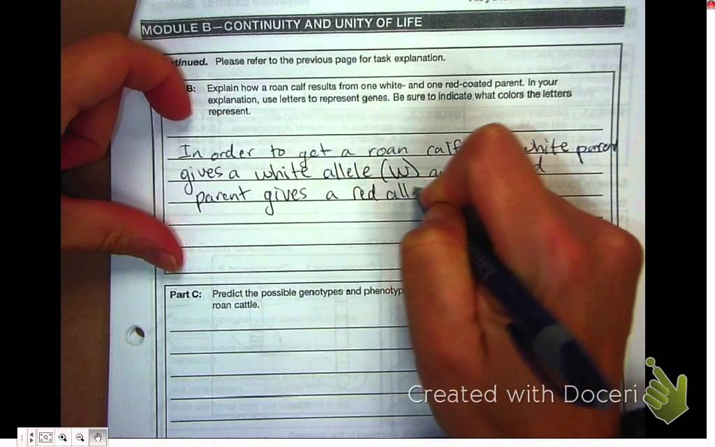 keystone practice constructed response question answered - YouTube