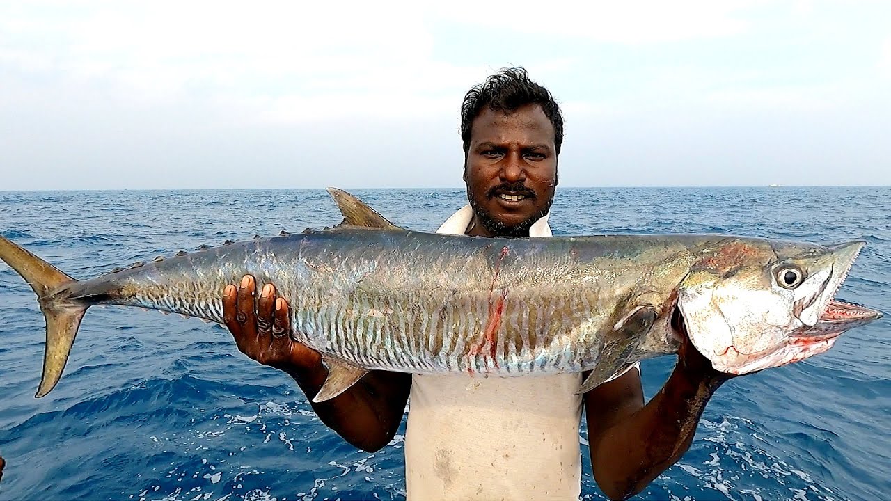 Catching Back to Back King Fish in the Deep Sea - YouTube