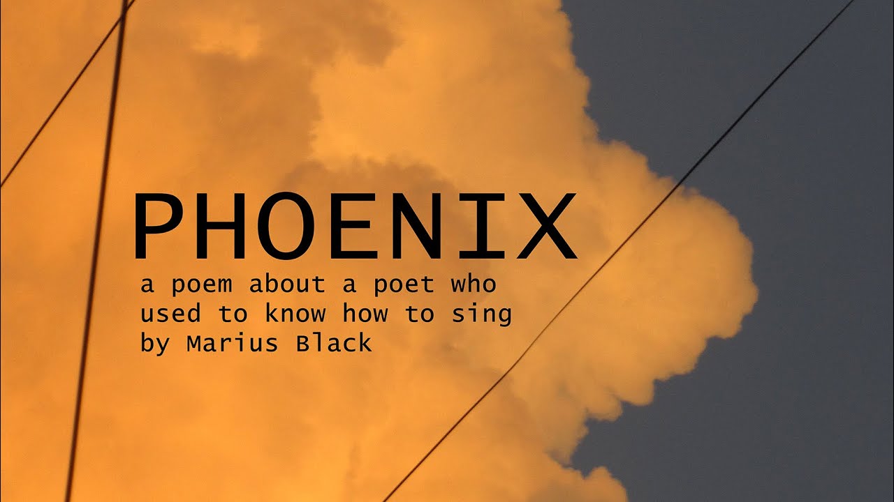 𝐏𝐇𝐎𝐄𝐍𝐈𝐗 - a poem about a poet who used to know how to sing by Marius ...