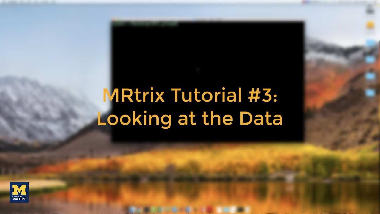 MRtrix Tutorial #3: Looking at the Data - YouTube