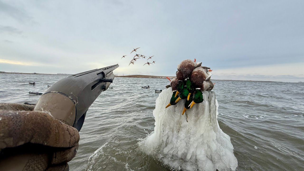 BIG WATER Duck Hunting 15 Miles Offshore! (DUCKS EVERYWHERE) - YouTube