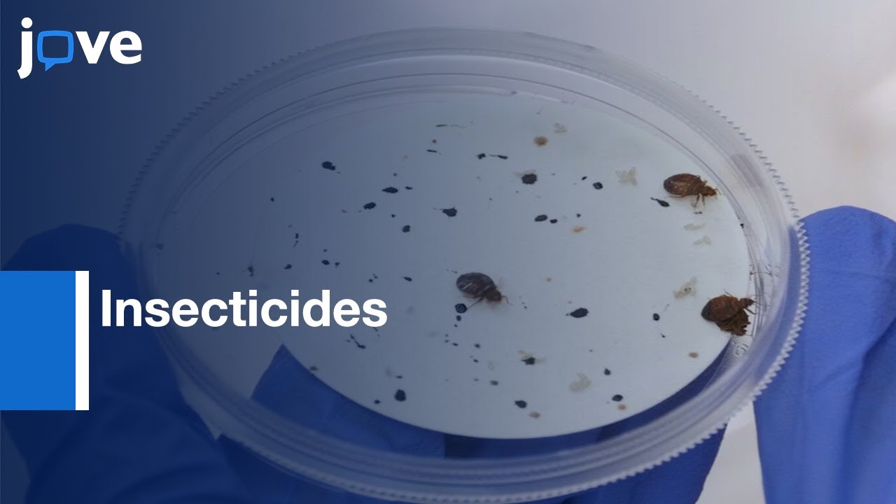 Insecticide Efficacy Evaluation against Bed bugs, Egg and first Instar ...