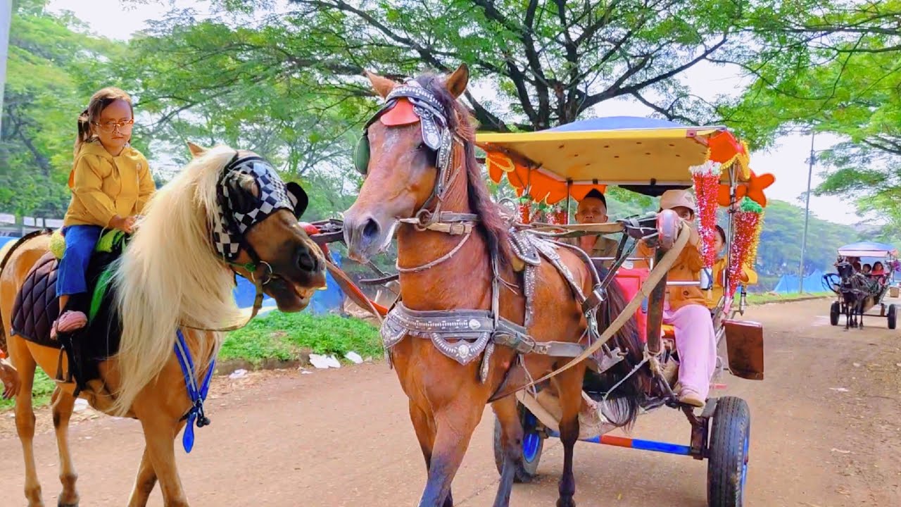 NAIK DELMAN ISTIMEWA | NAIK KUDA | NAIK DELMAN | LAGU ANAK-ANAK ...
