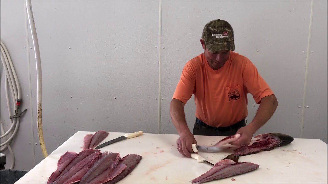 Easy Steps To Cleaning a Redfish - YouTube