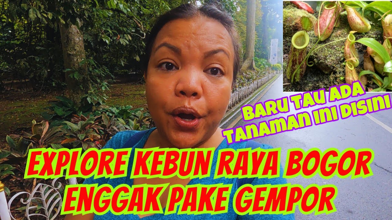 EXPLORE KEBUN RAYA BOGOR II JALAN2 BERDUA AJA DENGAN ANAK - YouTube