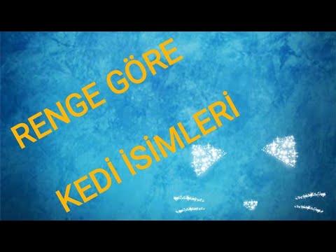 RENGİNE GÖRE KEDİ İSİMLERİ (EN GÜZEL KEDİ İSİMLERİ)