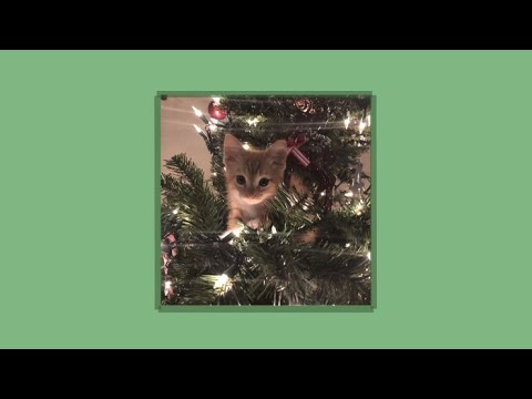 -JINGLE BELL ROCK- speed up. (not clean) - YouTube