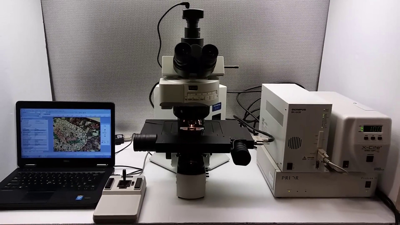 Olympus BX61 Microscope Fluorescence Metallurgical Motorized Pred BX63 ...