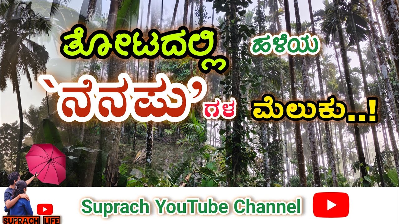 Village Life Vlog 🌾 | A Day in Our Village | Simple & Peaceful Living ...