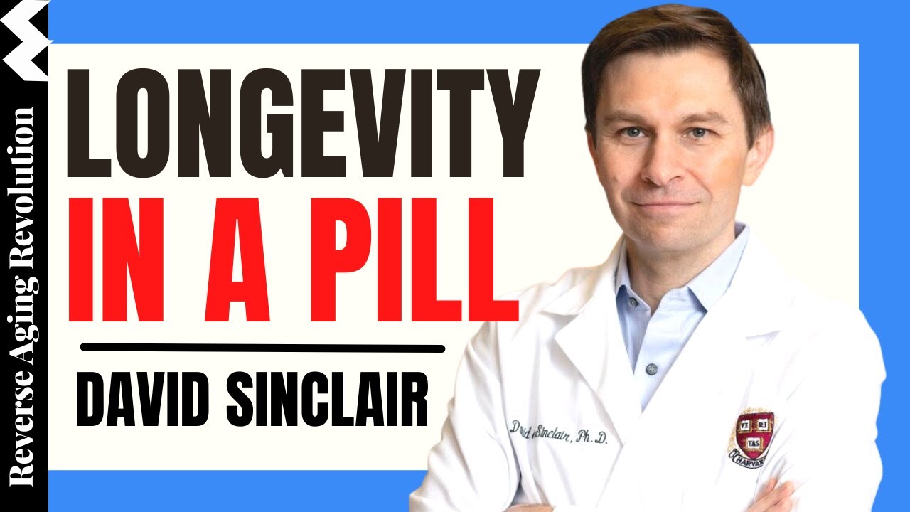 DAVID SINCLAIR “Longevity In A Pill” | Dr David Sinclair Interview ...