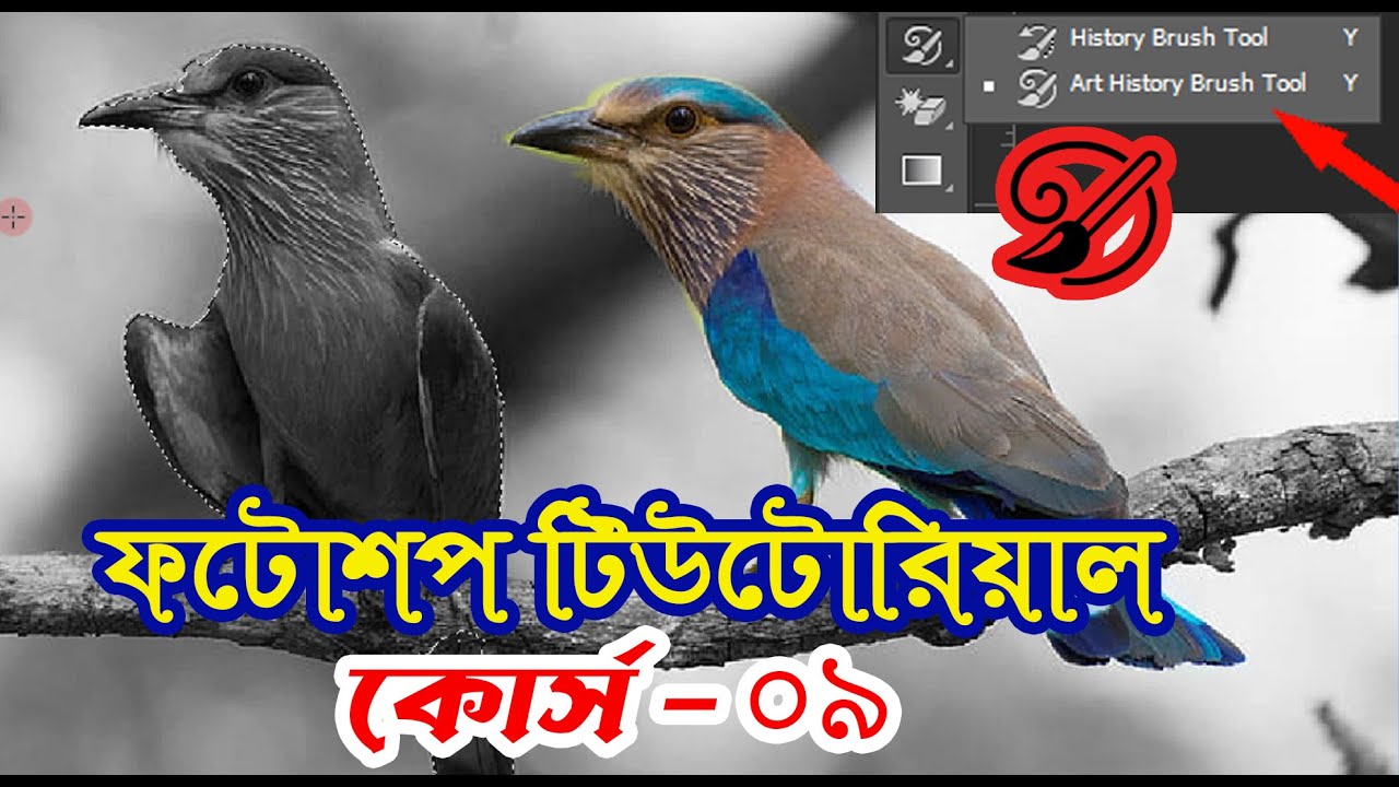 History Brush Tool In Bangla Tutorial Part 09 Art History Brush history-brush-tool-in-bangla-tutorial-part-09-art-history-brush