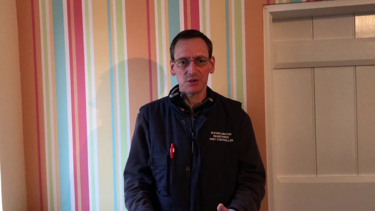 Steven Ashton - SJA Pest Control - YouTube
