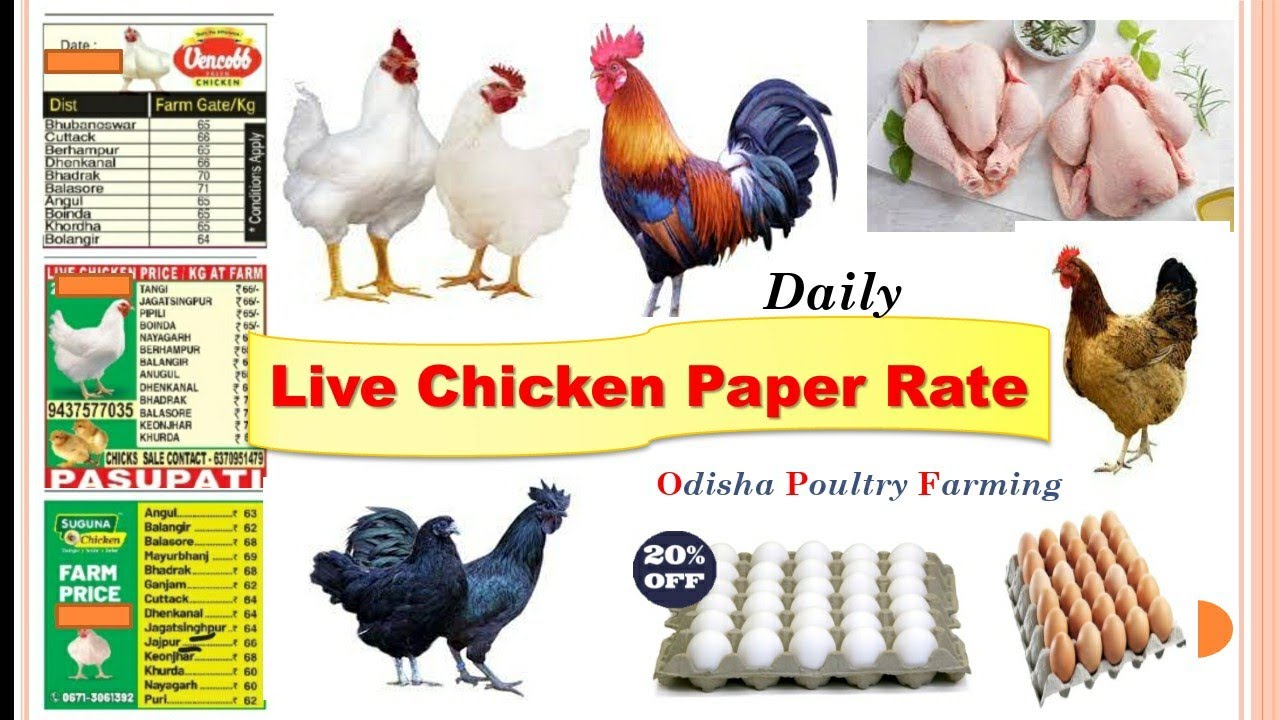 19 May 2021 Chicken Paper Rate I #Suguna I #Pasupati I #Vencobb I # ...