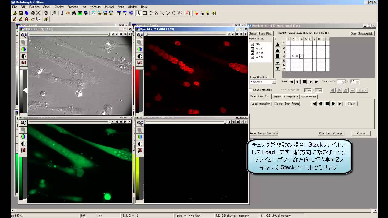 MetaMorph Review Multidimensional Dataについて - YouTube