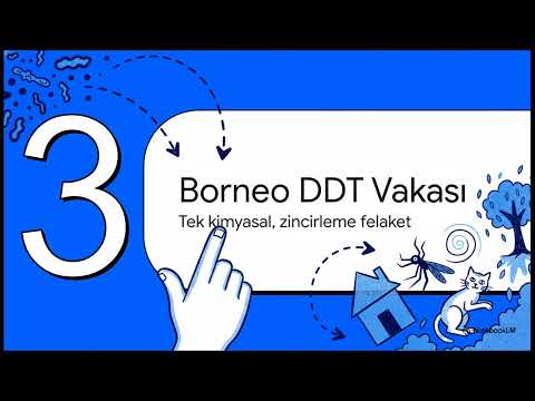 Çevre Sorunları, Kirlilik ve Biyoçeşitlilik