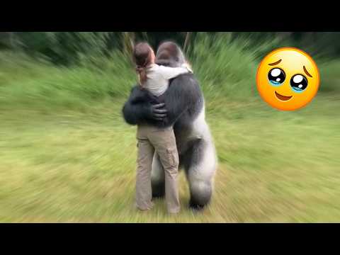Animals Reunite With the Ones They Love… These Moments Are Pure Emotion