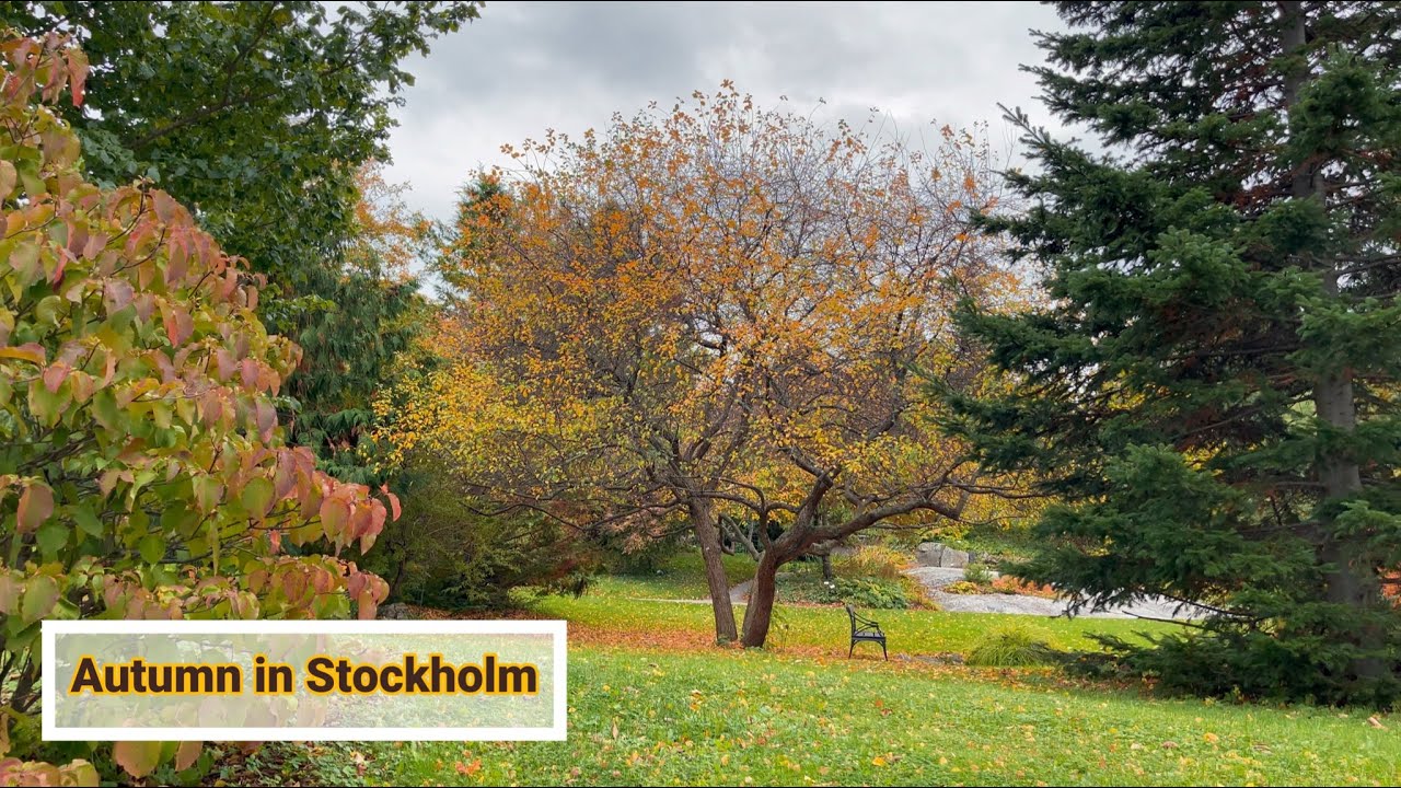 Sweden 🇸🇪;Amazing autumn vibes in Stockholm 2022 - YouTube