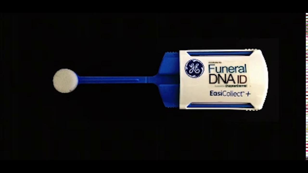 EasiCollect 1 - YouTube