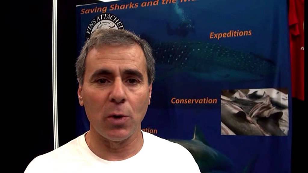 DIVE 2013: Scubaverse talks with Alex Antoniou from Fins Attached - YouTube