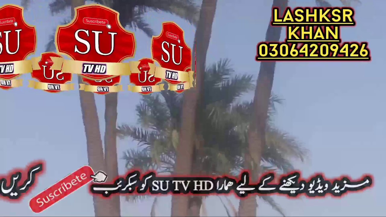 SUTV - YouTube