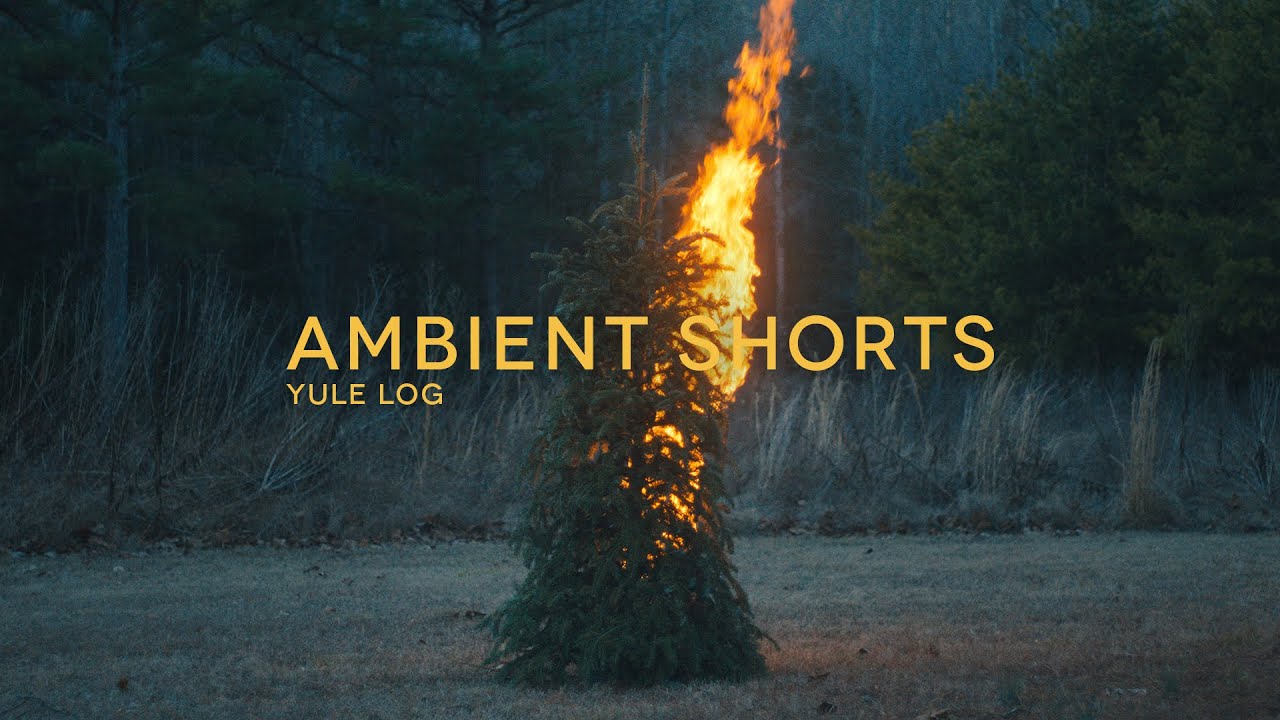 Ambient Shorts: Yule Log - YouTube