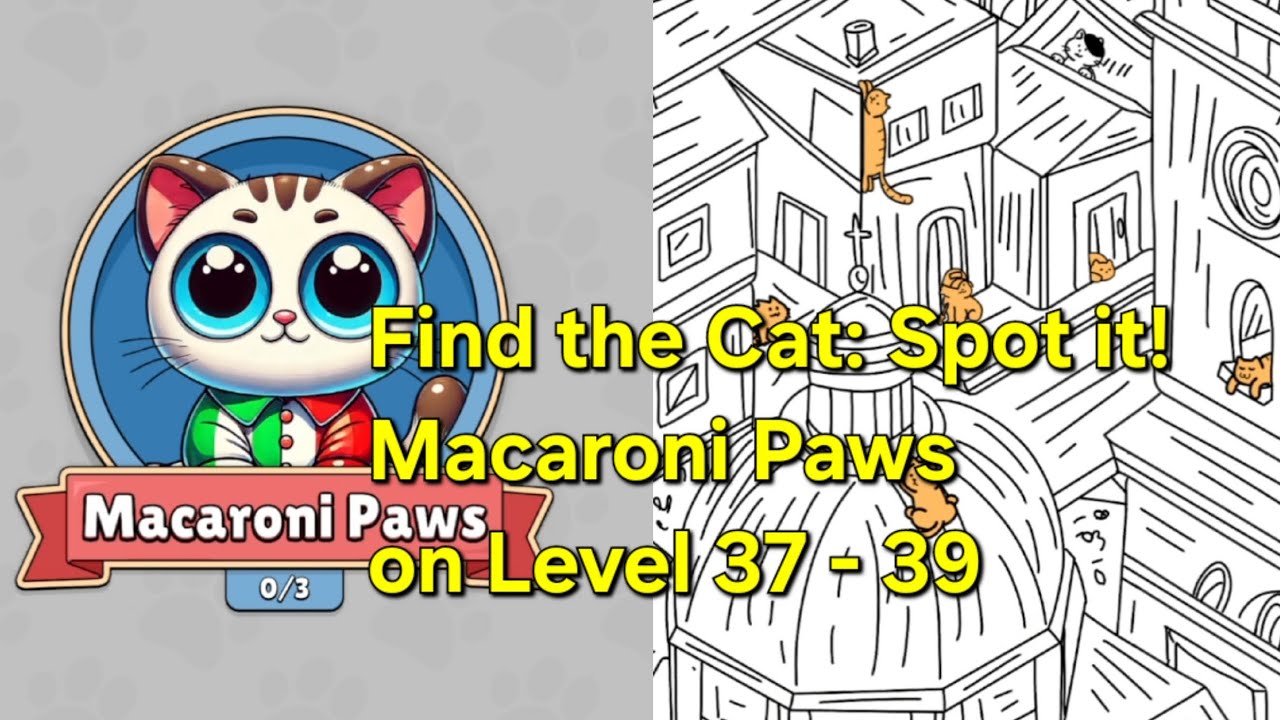 Find the Cat: Spot it - Level 37 - 39 Macaroni Paws - YouTube