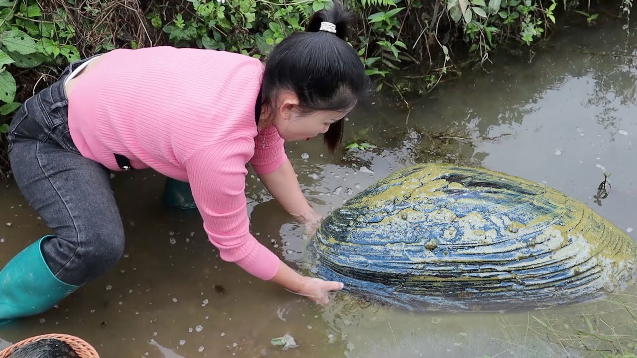 😲 The Unlikely Fortune of a Teenage Girl: A Mutant Clam's Hidden ...