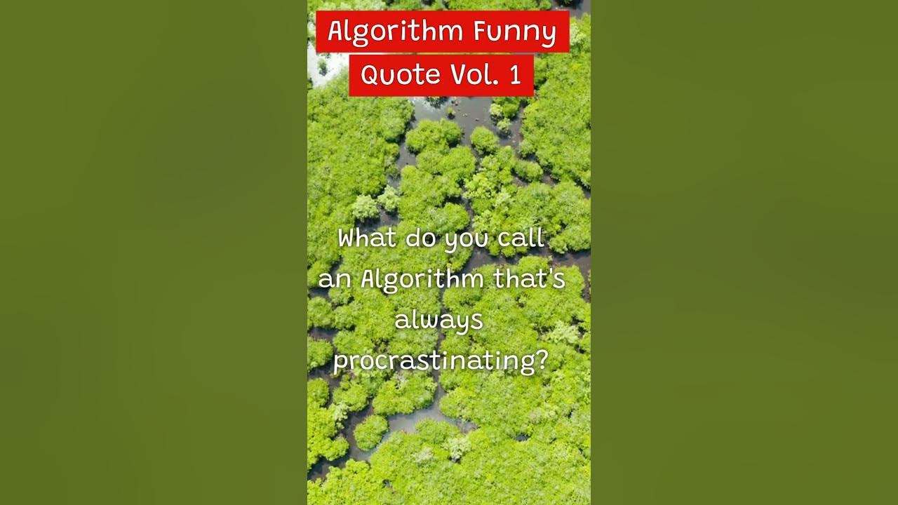 Funny Algorithms Quotes & Jokes Vol. 1 - YouTube