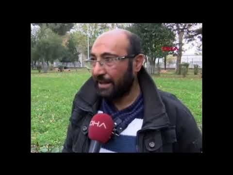 maymuna benziyorum abi işte napim ya