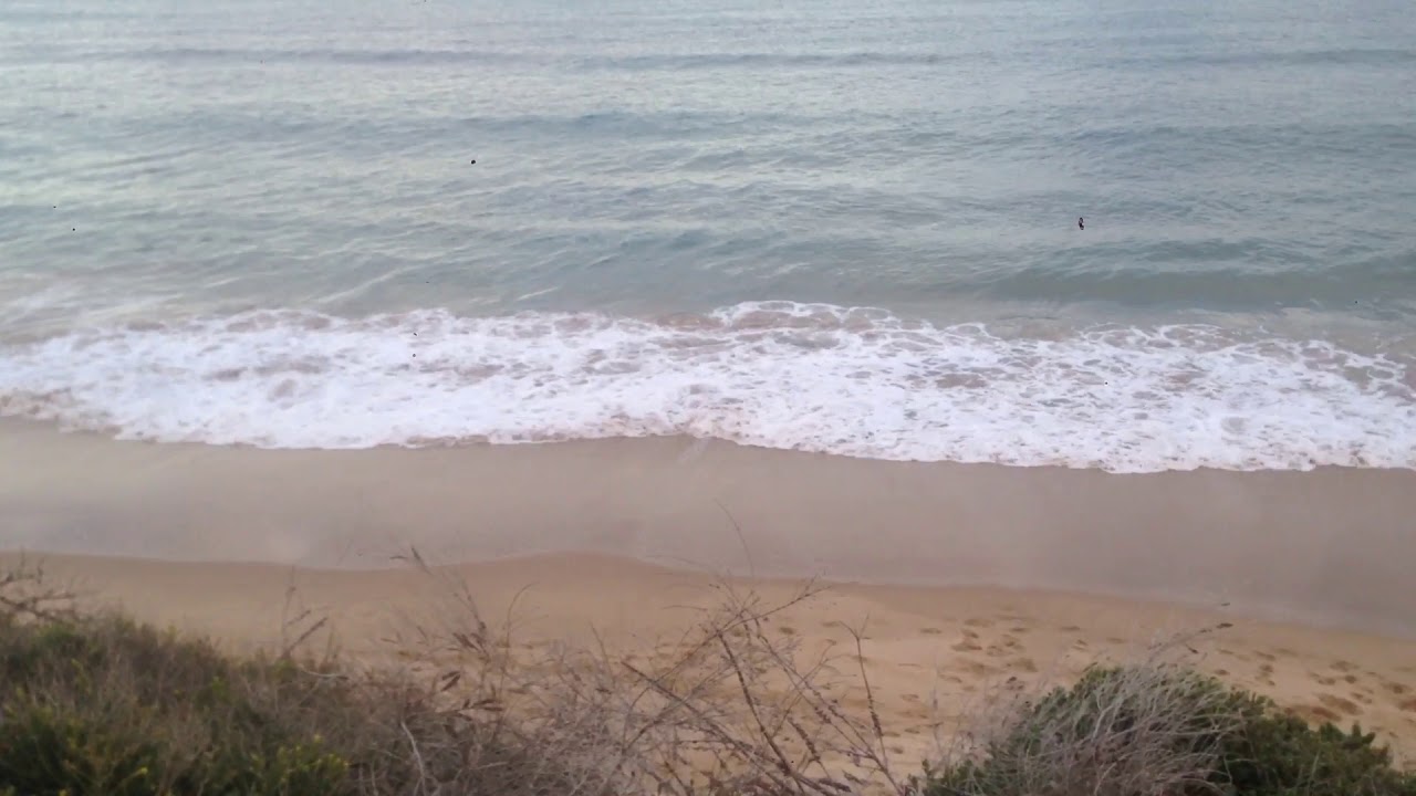 Calming beach in Melbourne - YouTube