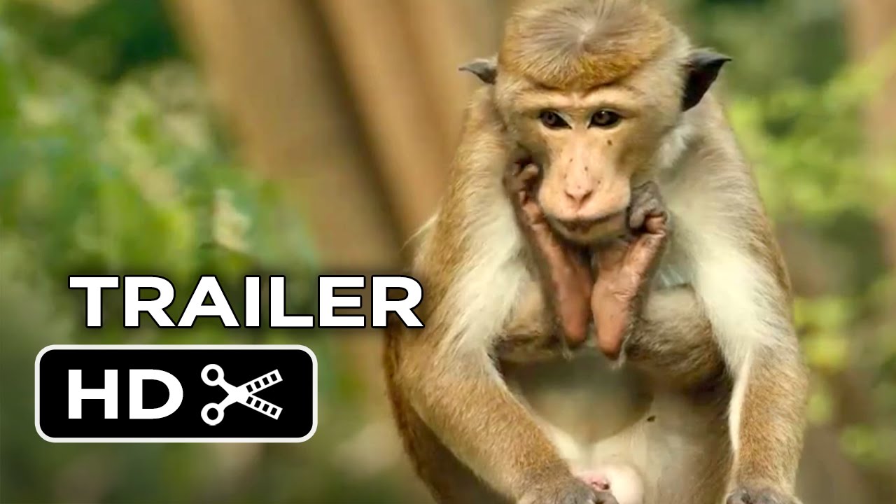 Monkey Kingdom TRAILER 1 (2015) - Disneynature Documentary HD - YouTube