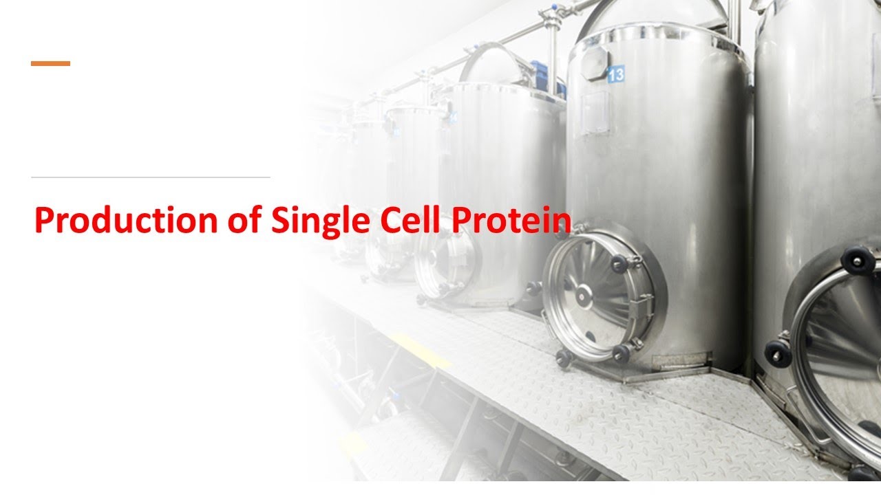 Lecture 19 : Production of Single Cell Protein - YouTube