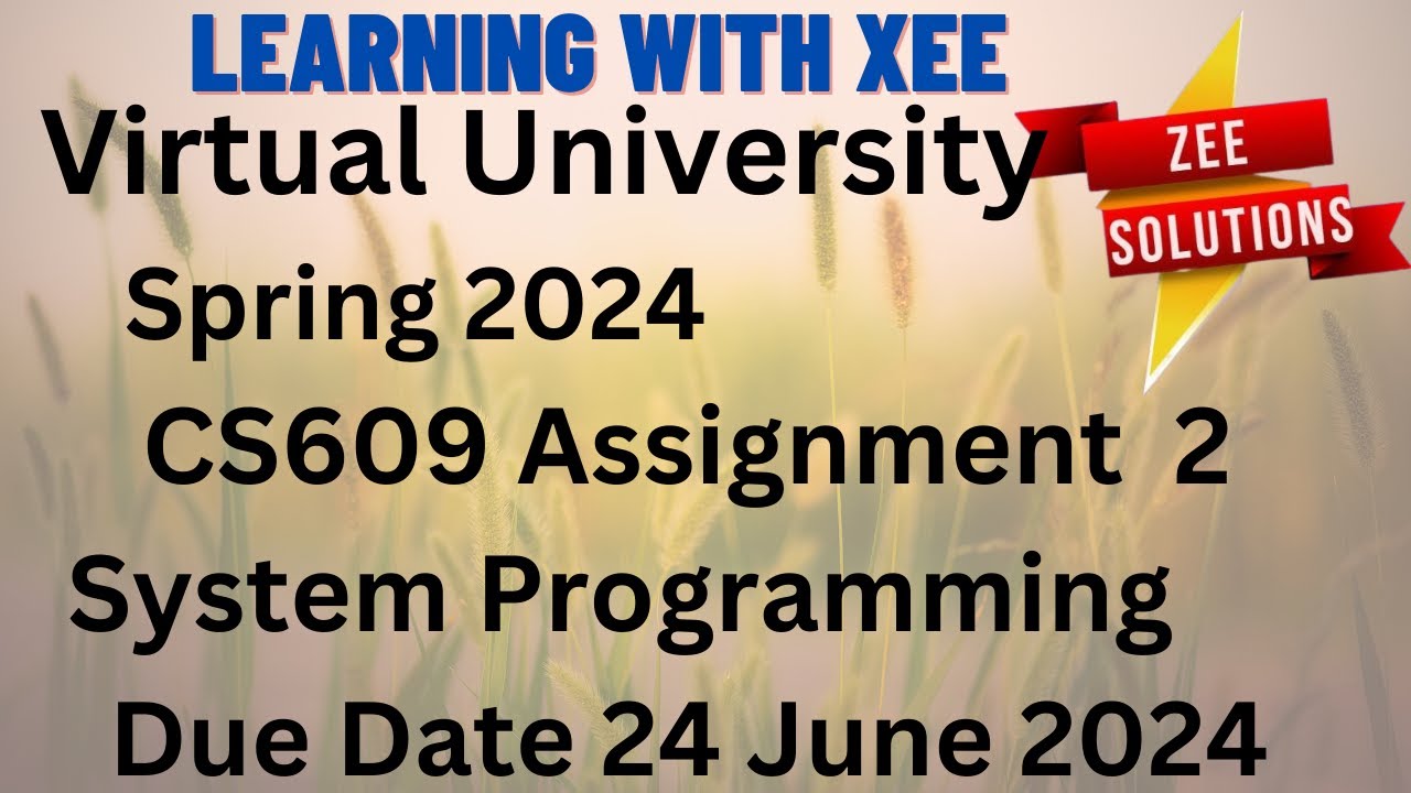 Cs609 System Programming Assignment 2 Spring 2024 Virtual University Of