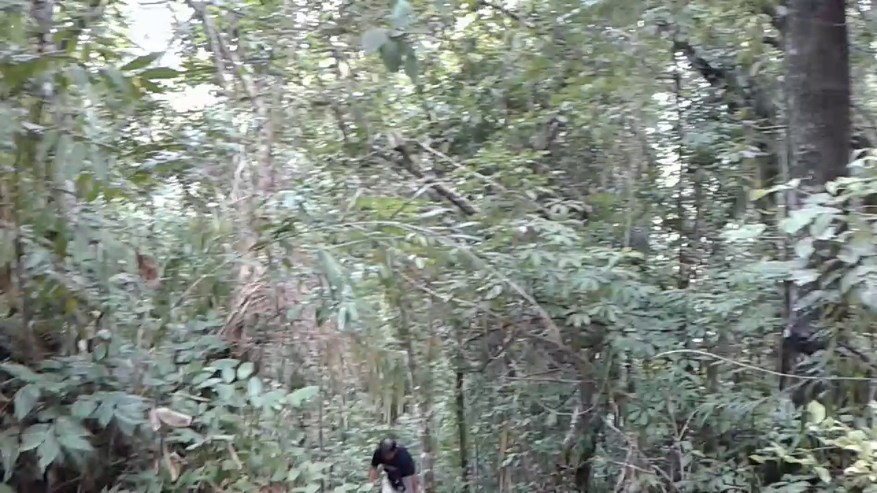 Montillano-Inas Falls Lambunao(19) - YouTube