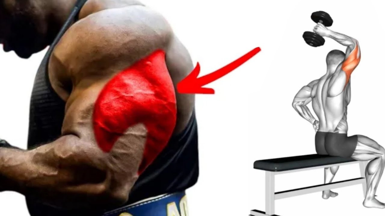 Top 5 Triceps Workout At Gym || best motivation gym vidoe triceps ...