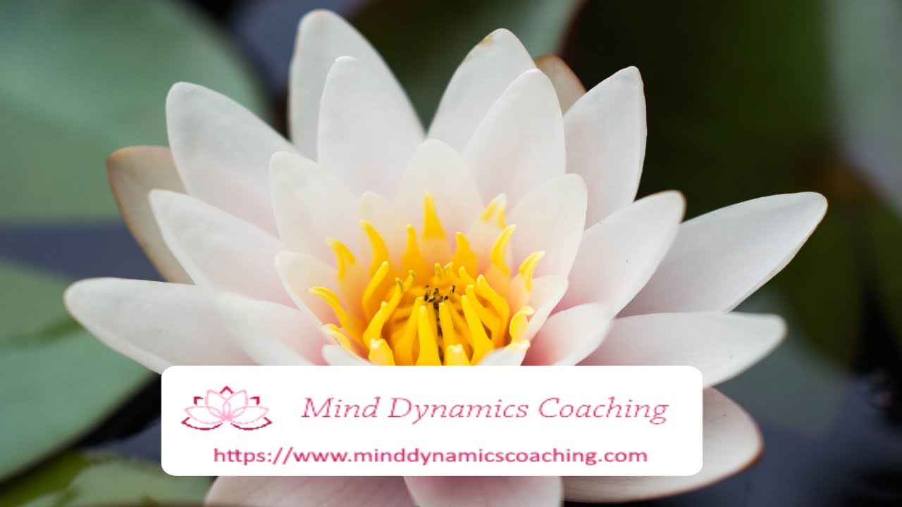 Neville to Another Level - Stop Being a Dumpster - Mind Dynamics Coaching - Karen Sinclair - YouTube