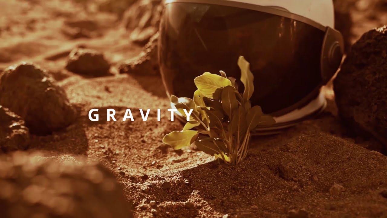 Gravity [M/V] | Progressive House | @nakymine @brownie0711 and Rach - YouTube