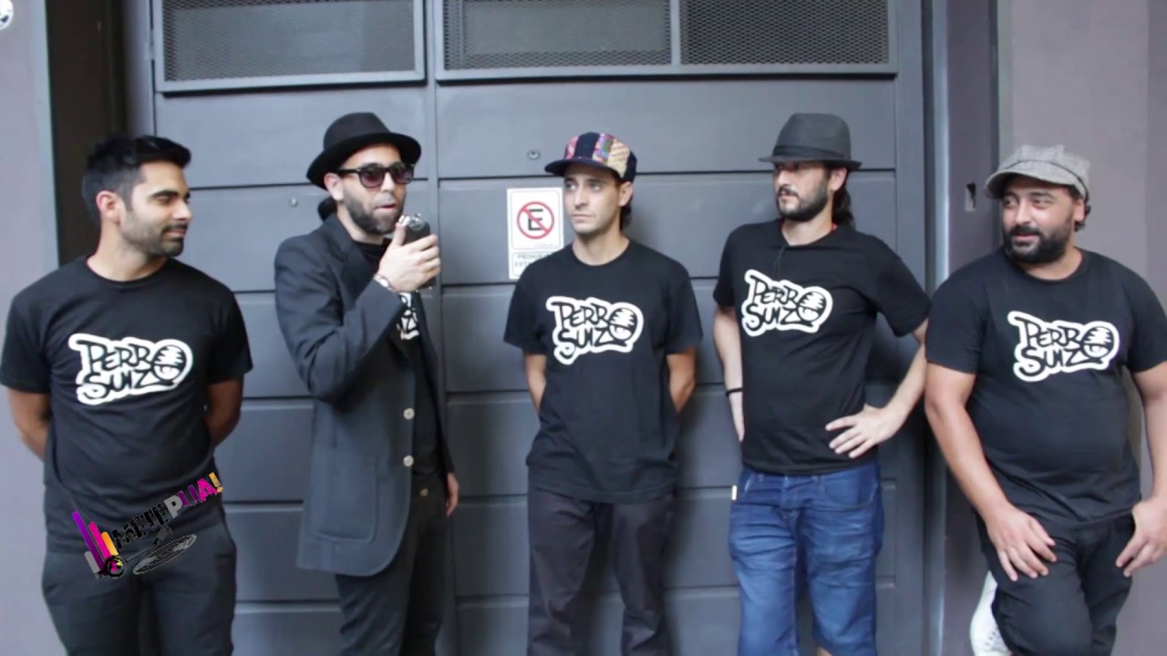 Perro Suizo en Mete Púa (Canal á) - YouTube