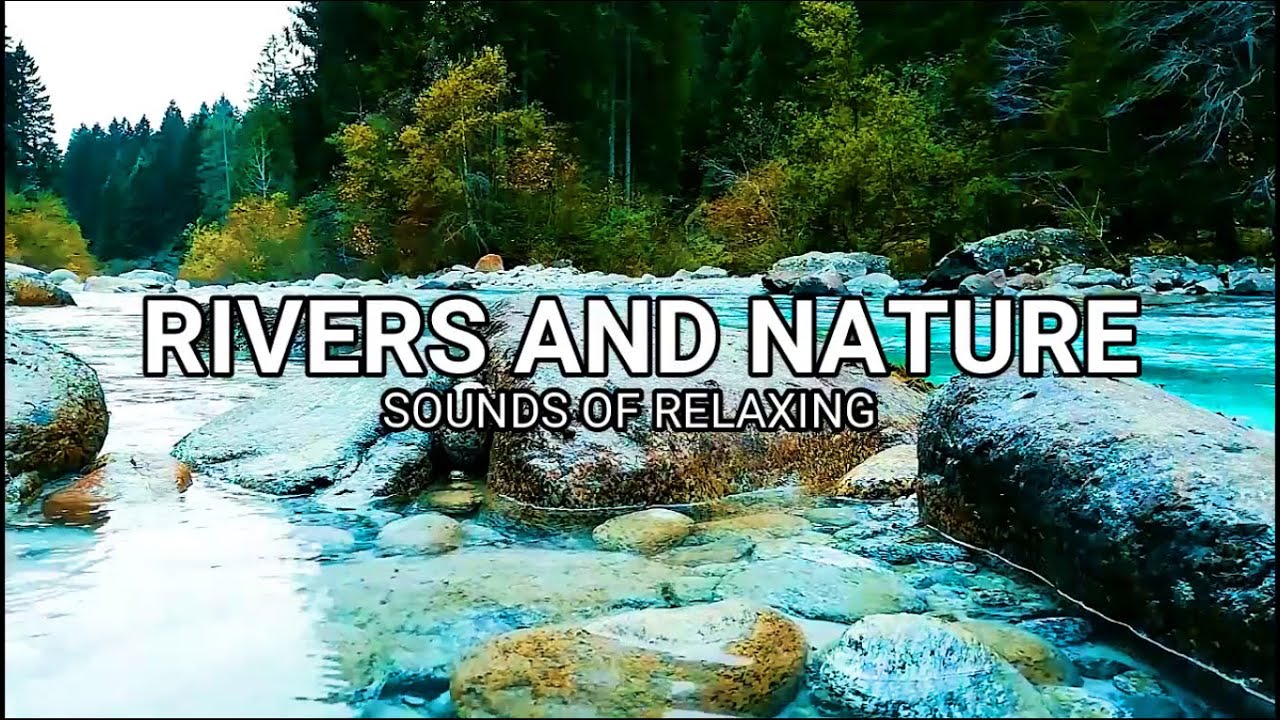 Meditation 🎼 Sounds Of Rivers 🌉 And Nature To Sleep Soundly 🛌🏾 And