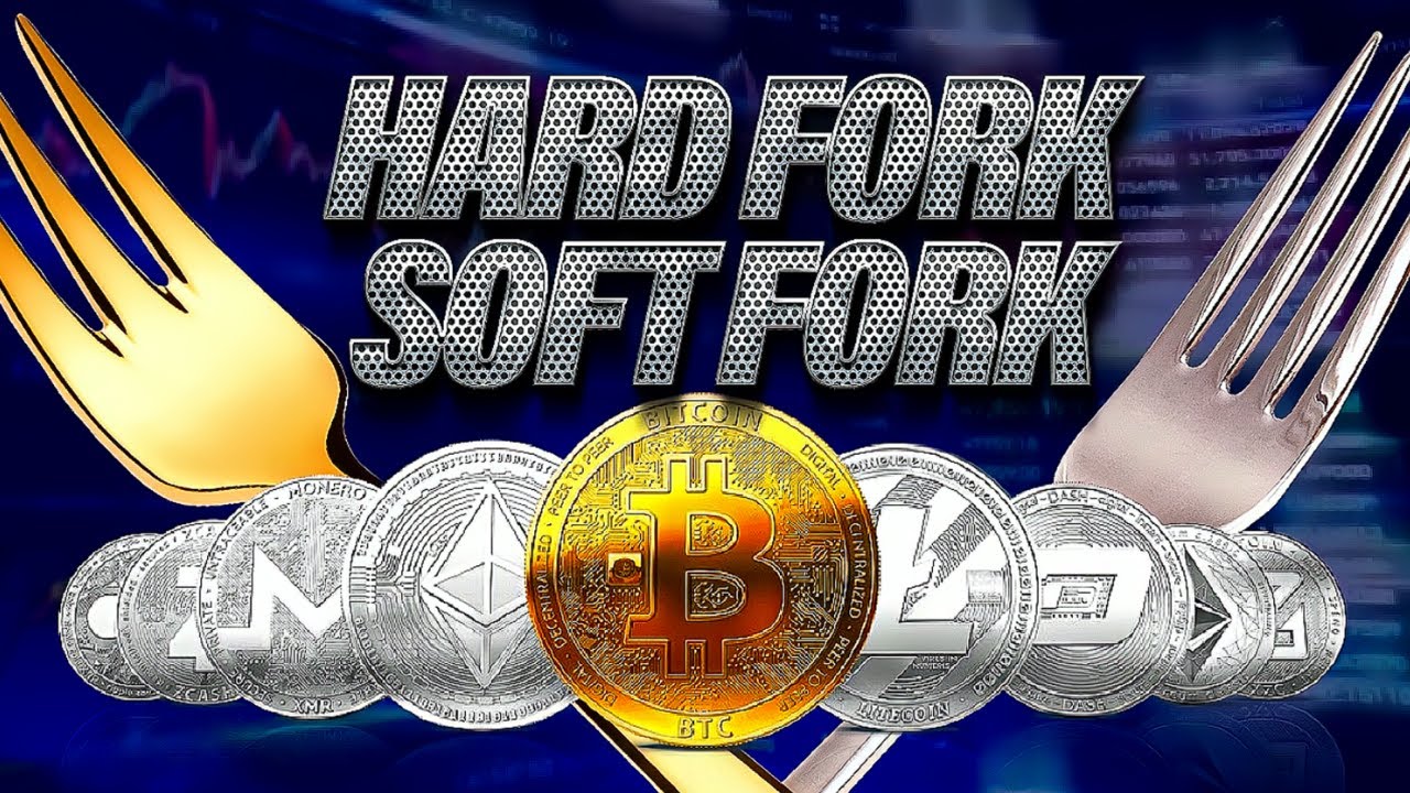 Difference Between Hard Folk And Soft Forks | Explained With Animation ...