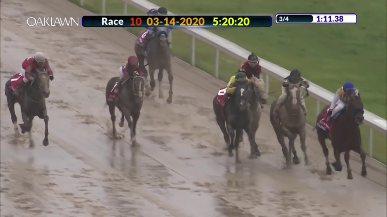 Horse Racing During COVID-19 and Hall of Fame Talk with Jay Privman ...