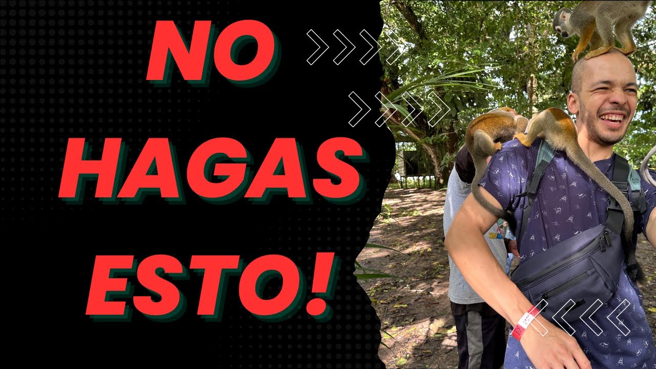 ASÍ es LA ISLA de los MICOS en el Amazonas LETICIA COLOMBIA - YouTube