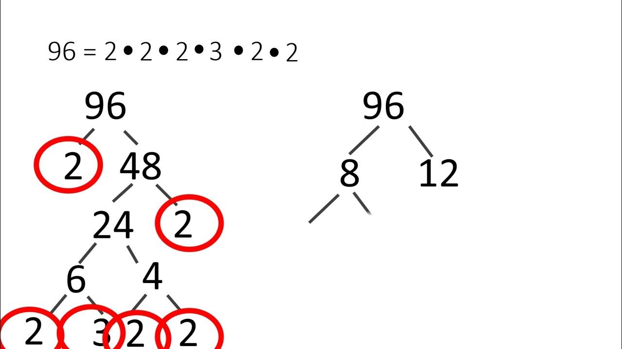 Grade 6: Using Factor Trees To Find Prime Numbers - YouTube