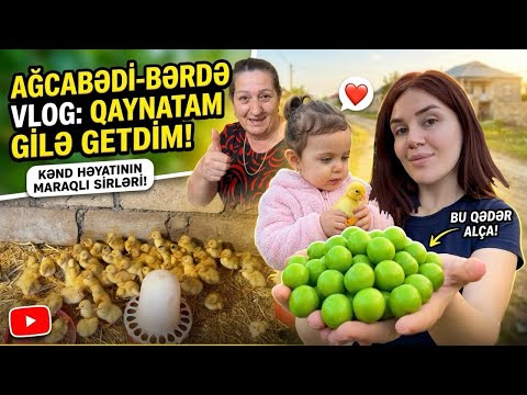 SONUNDA XALANIZ GƏLDİ 😍 GÖZLƏNİLƏN VİDEO SONUNDA AĞCƏBƏDİ / BƏRDƏDƏ İLK GÜNÜMÜZ MARAQLI VLOĞ🌸